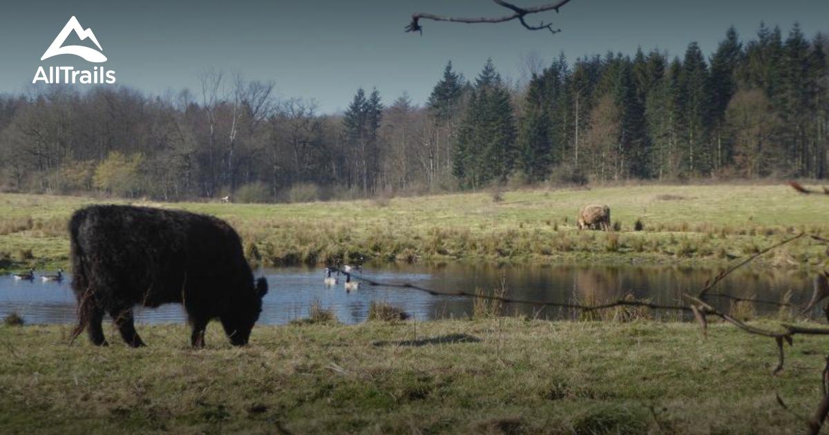 Best trails in Felm, Schleswig-Holstein | AllTrails