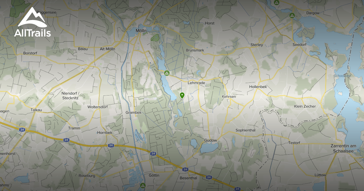 De beste skogsstiene i Lehmrade | AllTrails