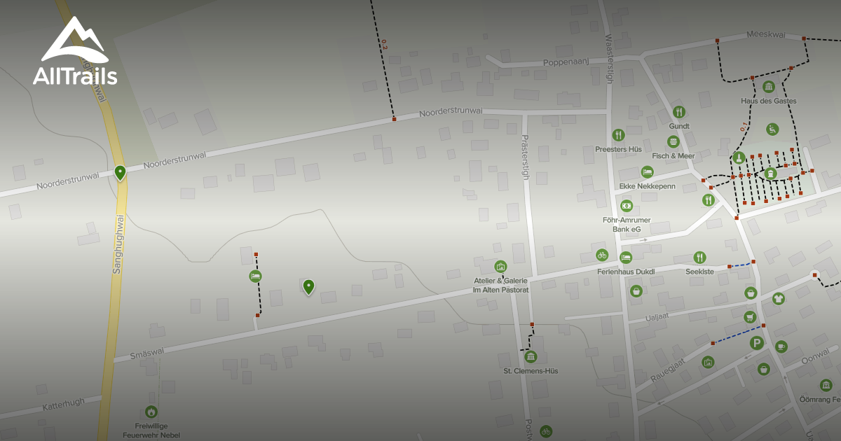 Best Forest Trails in Nebel | AllTrails