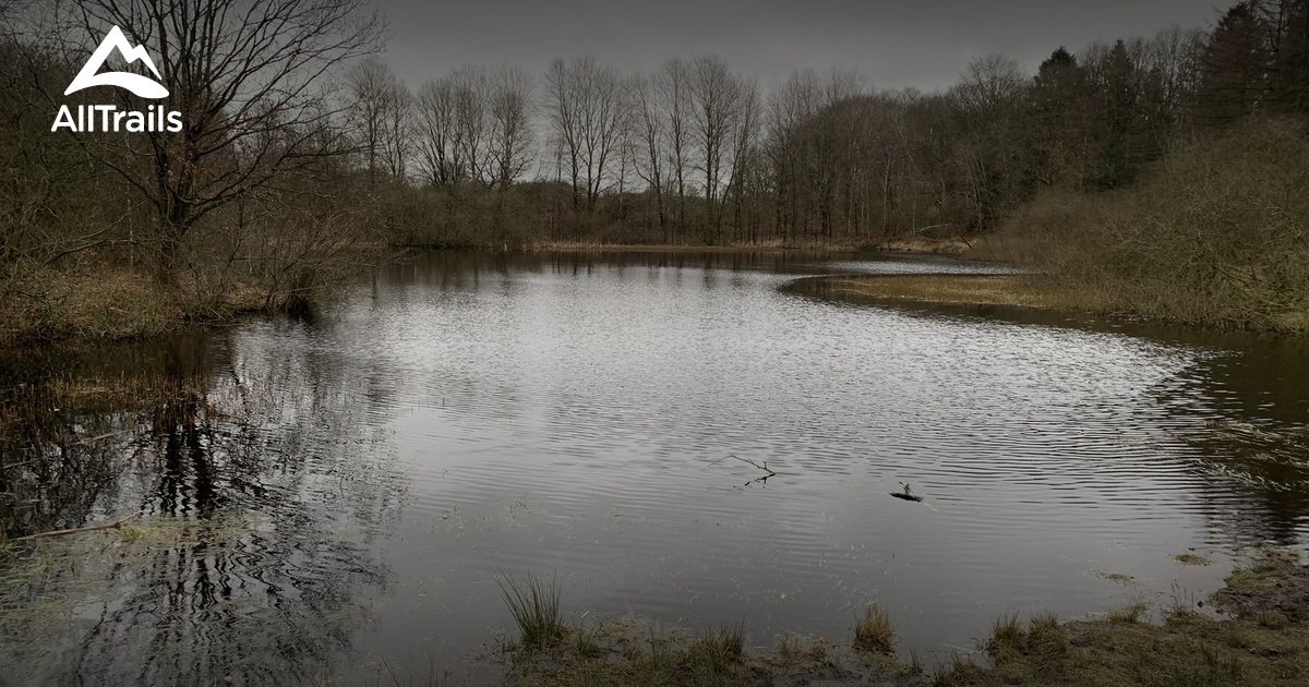 Best forest trails in Oeversee | AllTrails