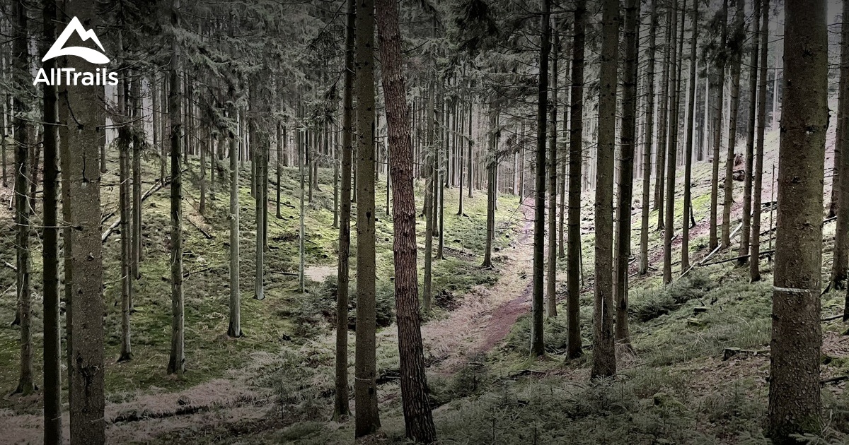Best beach trails in Trittau | AllTrails