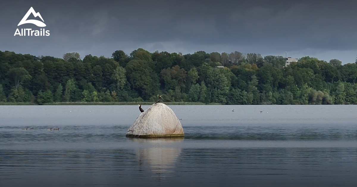 Best wildflower trails in Windeby | AllTrails