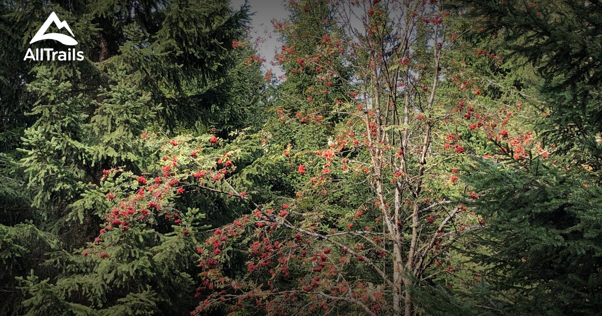 Best hard trails in Masserberg | AllTrails