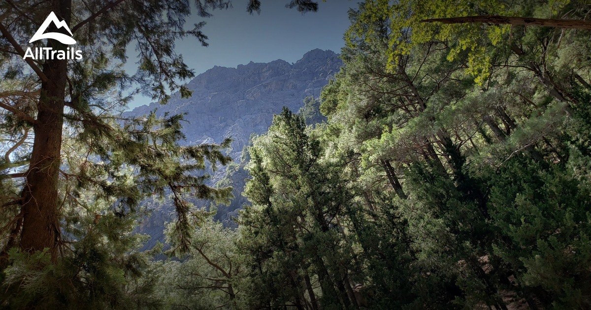 Best forest trails in Lakki | AllTrails