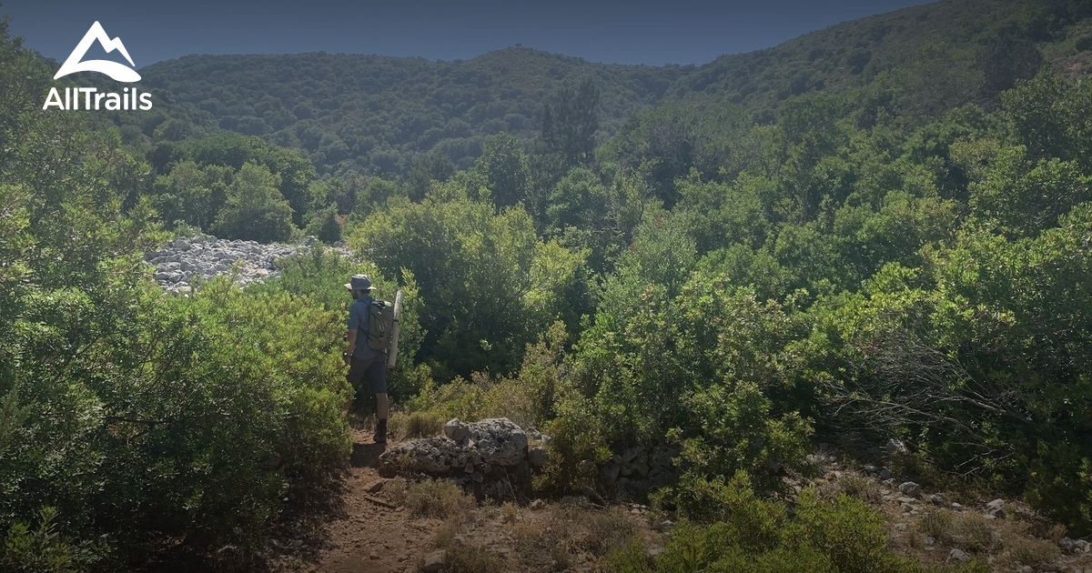 Best hikes and trails in Zola | AllTrails