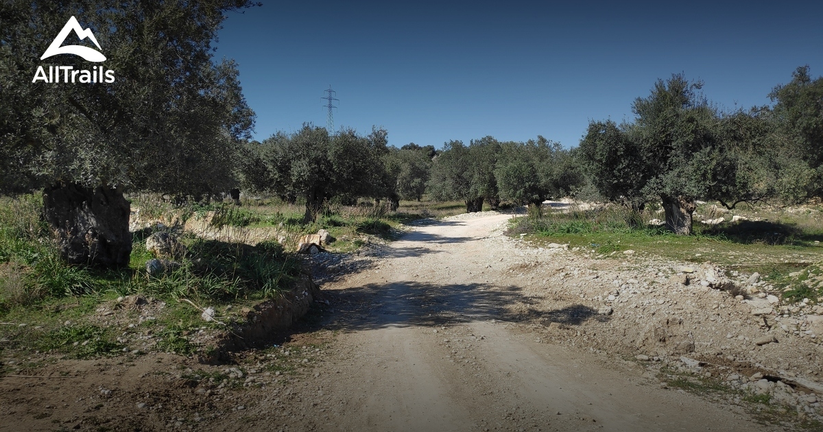Best hikes and trails in Afandou | AllTrails