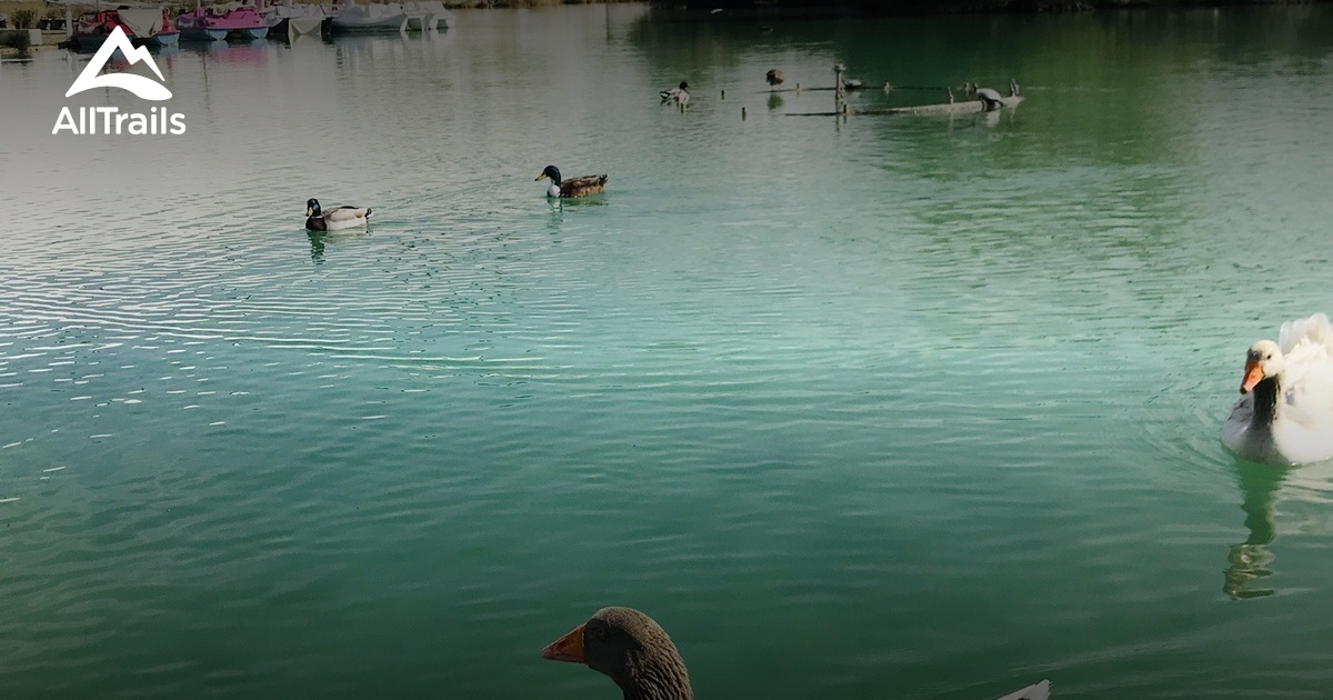 Best forest trails in Kokkari | AllTrails