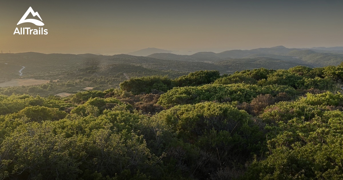 Best hikes and trails in Gyri | AllTrails