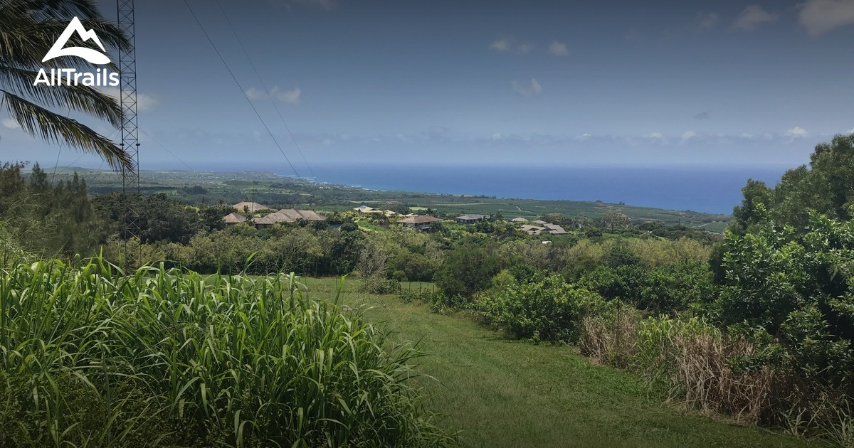 Best hikes and trails in Kalaheo | AllTrails