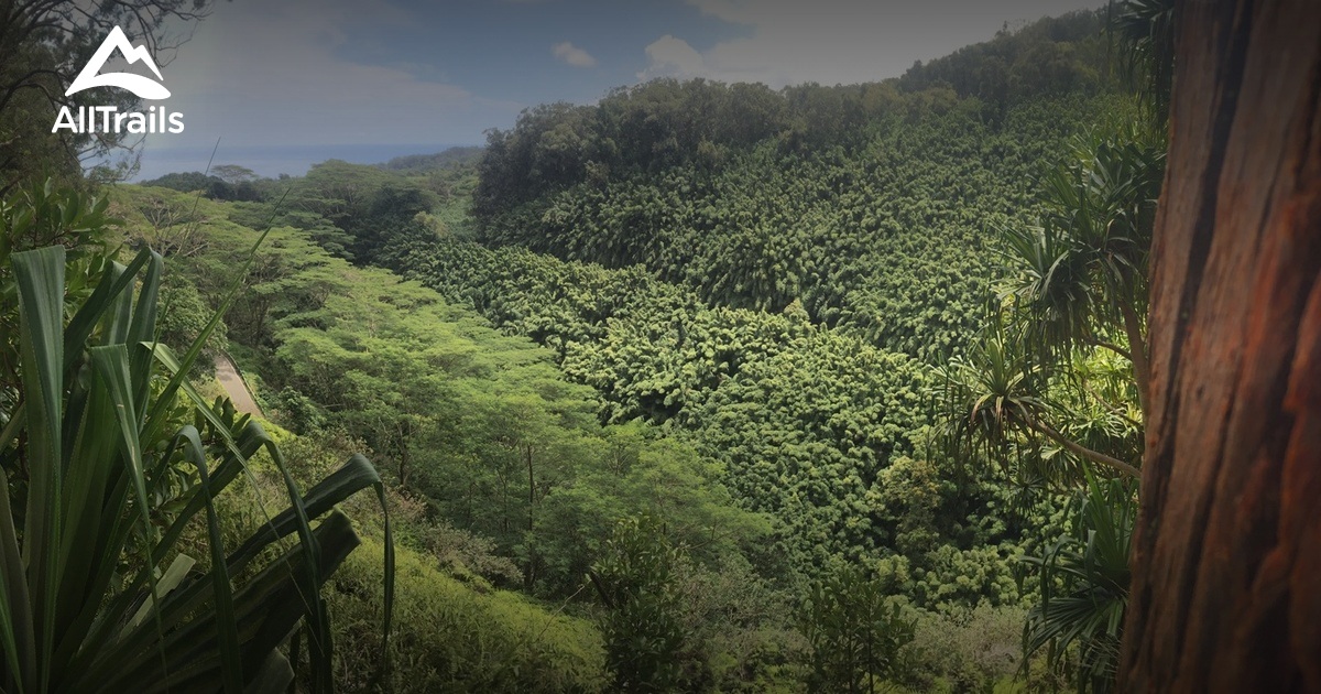 Best hikes and trails in Haiku | AllTrails