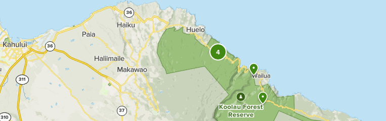 Best trails in Haiku, Maui | AllTrails