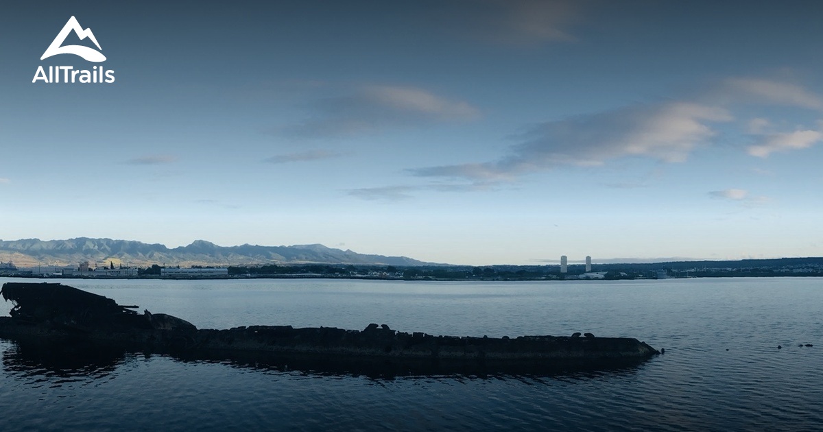 Best bird watching trails in Joint Base Pearl Harbor-Hickam | AllTrails