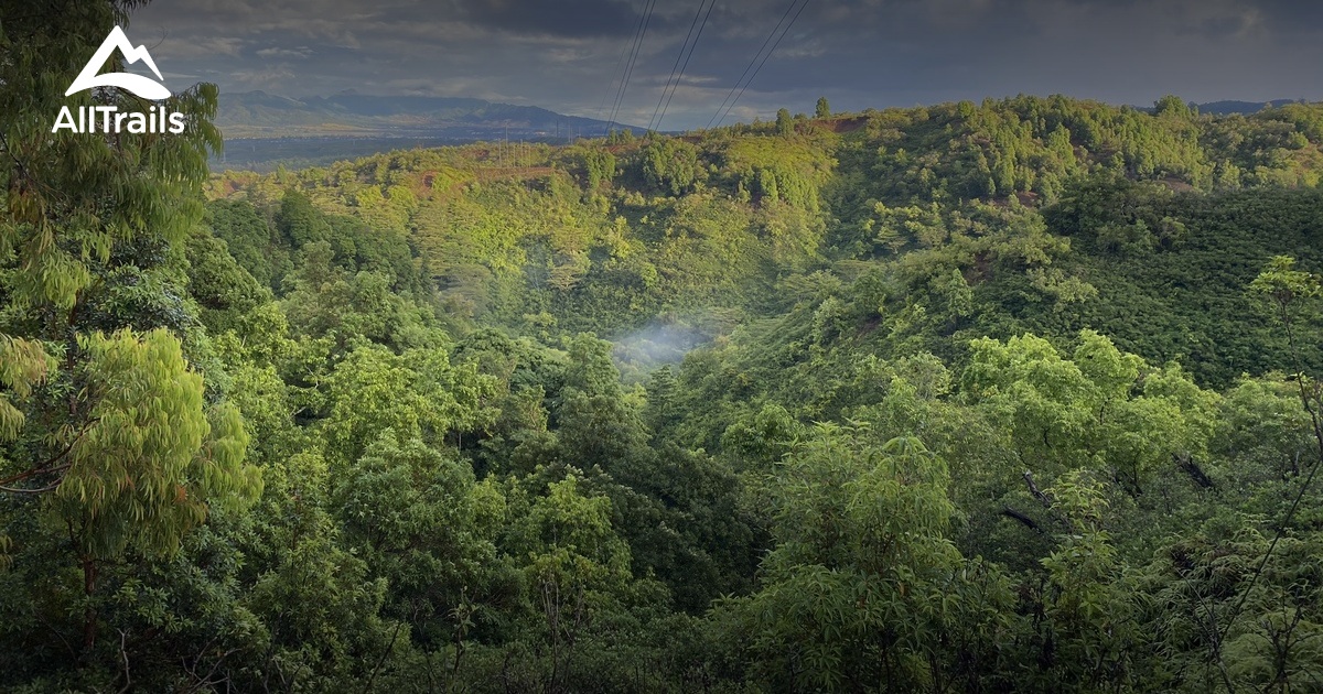 Best hikes and trails in Pearl City | AllTrails