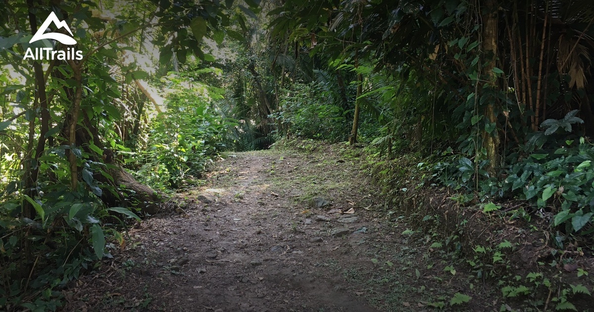 Best hikes and trails in Omoa | AllTrails