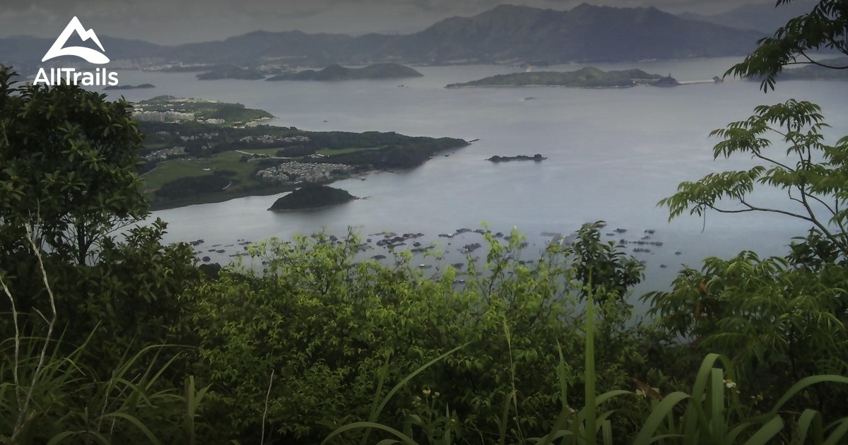 Best forest trails in Kei Ling Ha Lo Wai | AllTrails