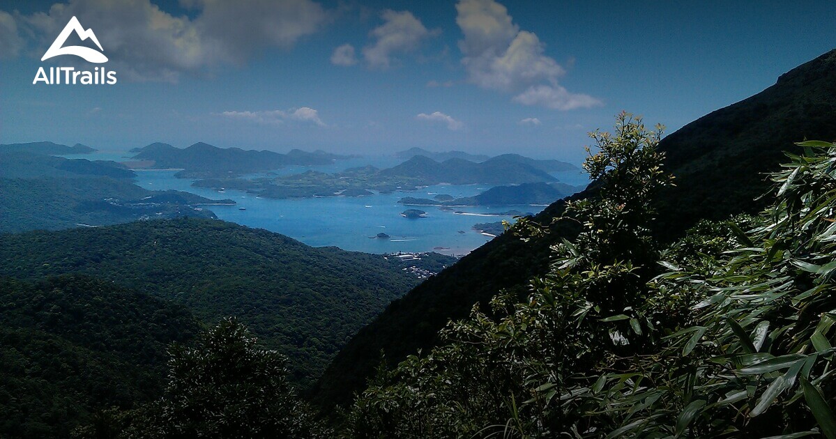 Best Forest Trails in Pak Sha Wan | AllTrails