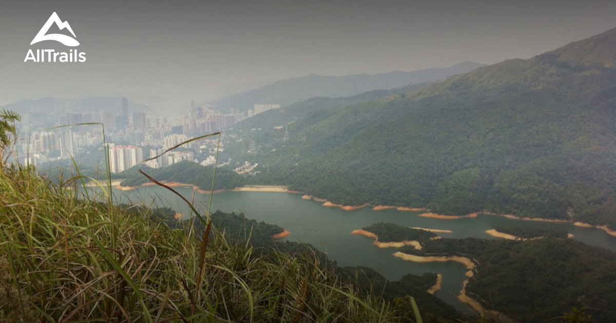 10 Best wildflower trails in Pak Tam Chung | AllTrails