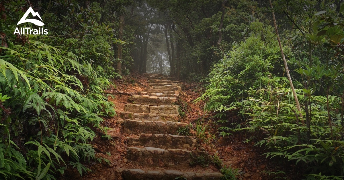 10 Best trails and hikes in Lion Rock | AllTrails