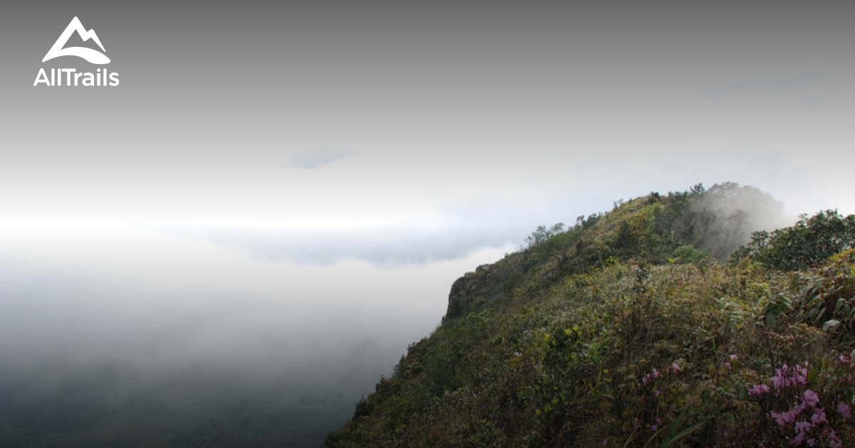 Best river trails in Tai Shui Hang | AllTrails