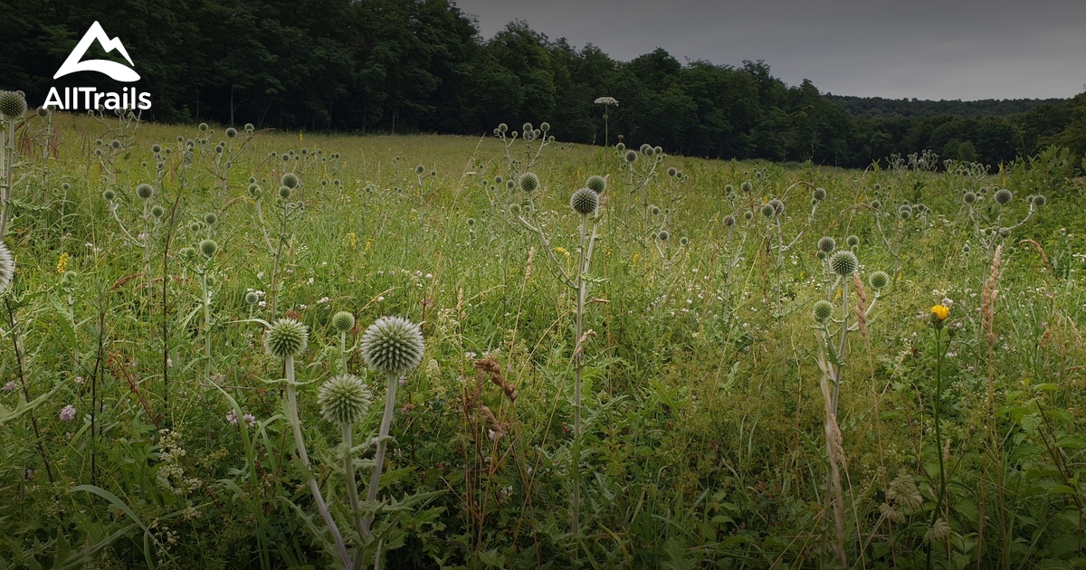 2023 Best trails in Komló | AllTrails