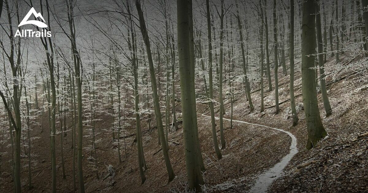 Best hikes and trails in Dömös | AllTrails