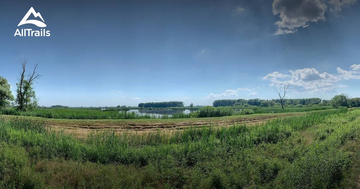 Best hikes and trails in Balatonfenyves | AllTrails