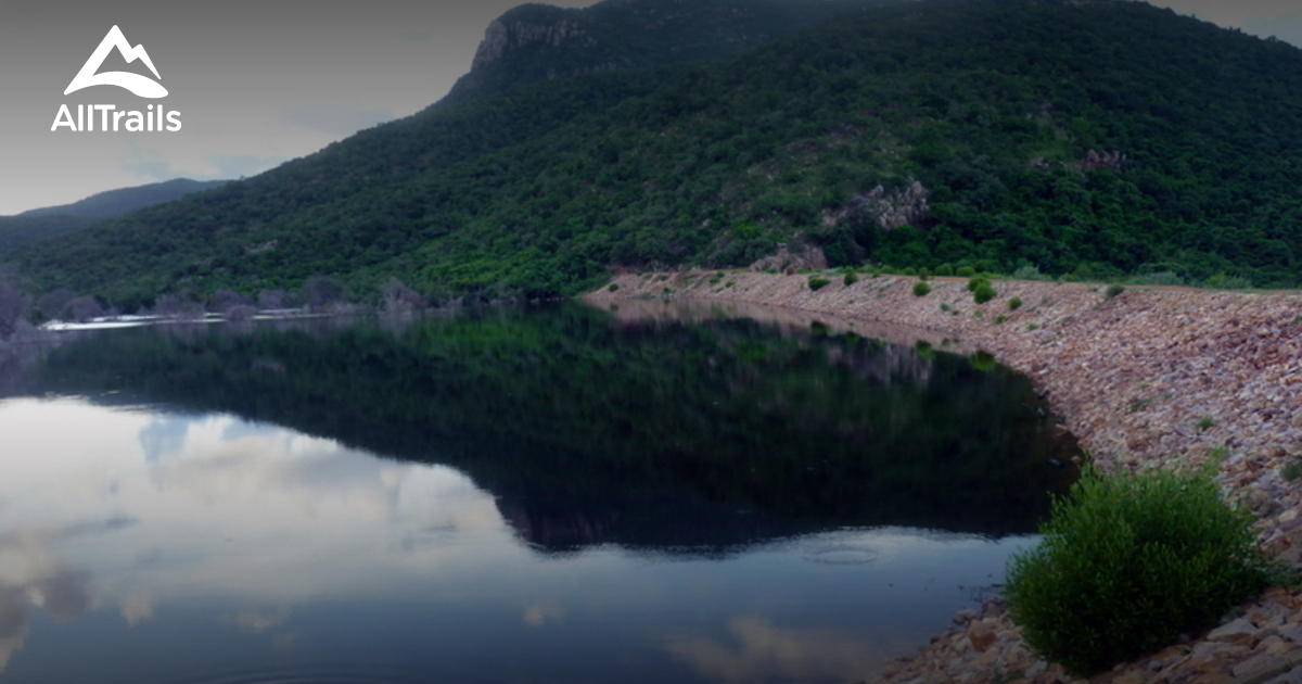 Best wildflower trails in Varadaiahpalem | AllTrails