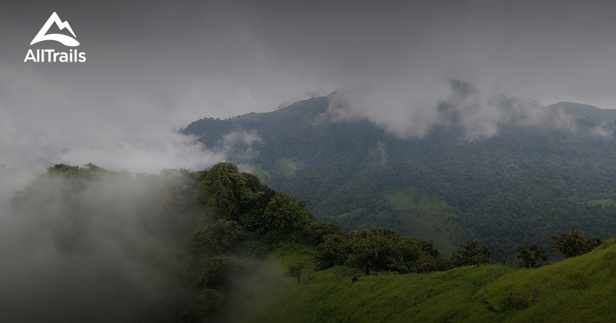 Best hikes and trails in Dediapada | AllTrails