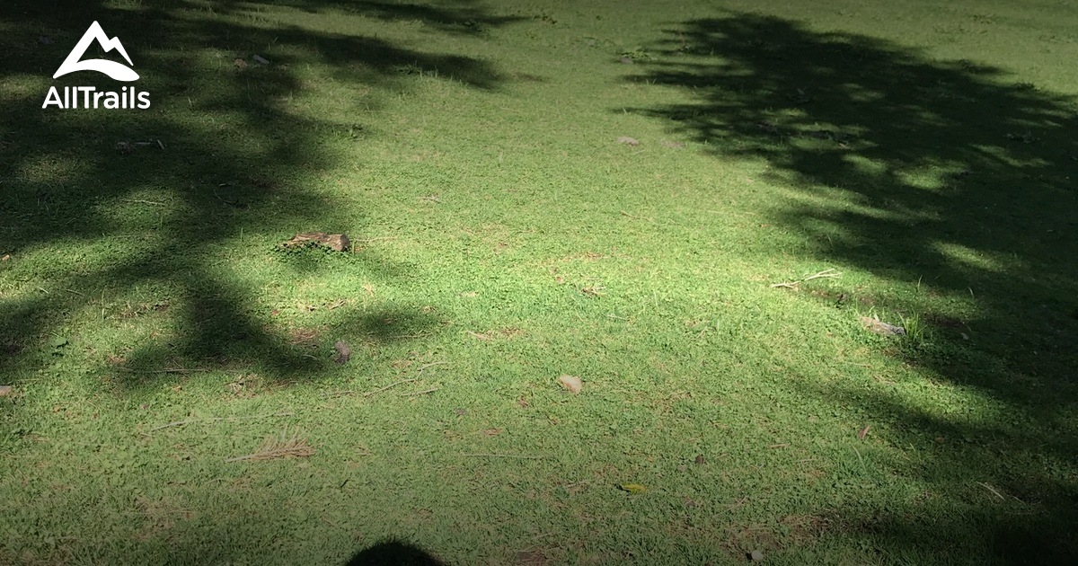 Best hikes and trails in Cheta | AllTrails