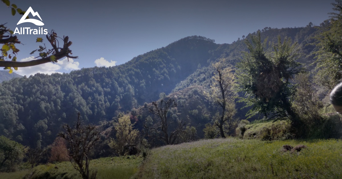 Best views trails in Kamand | AllTrails