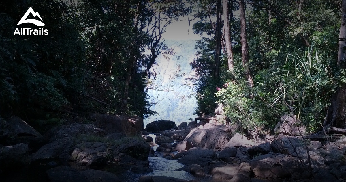 Best hikes and trails in Koppa | AllTrails