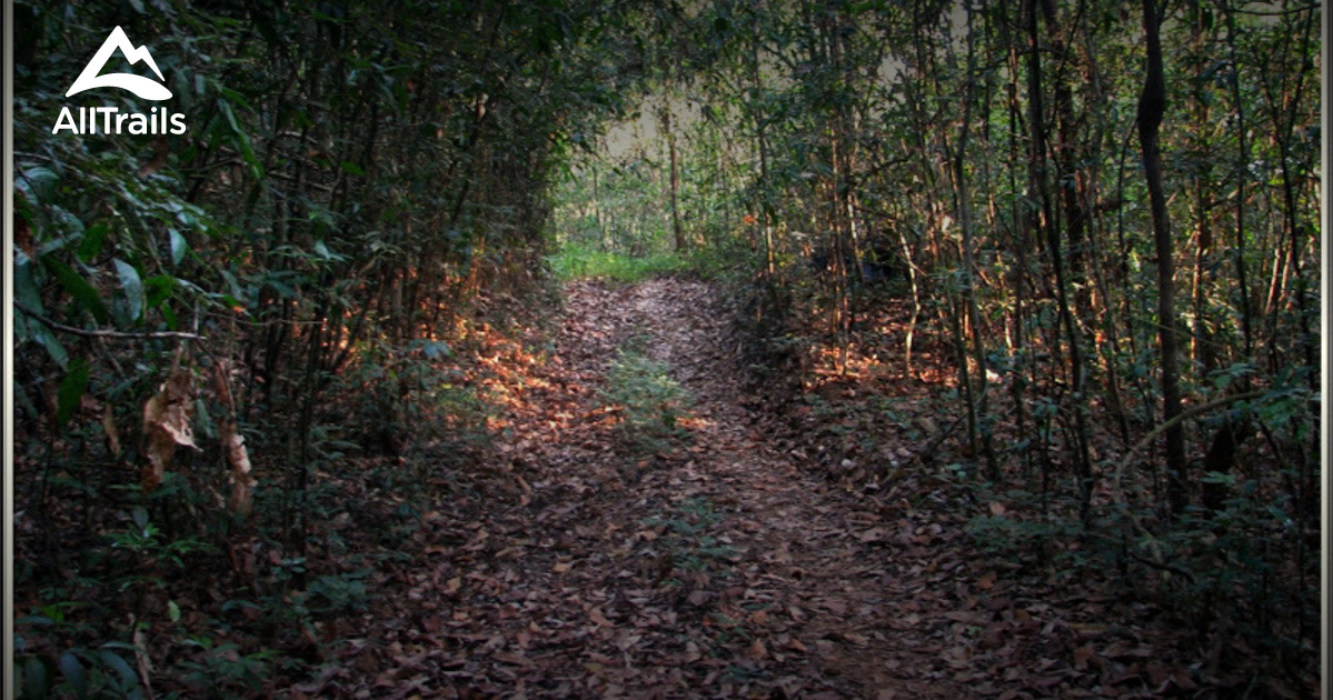 Best forest trails in Puttur | AllTrails