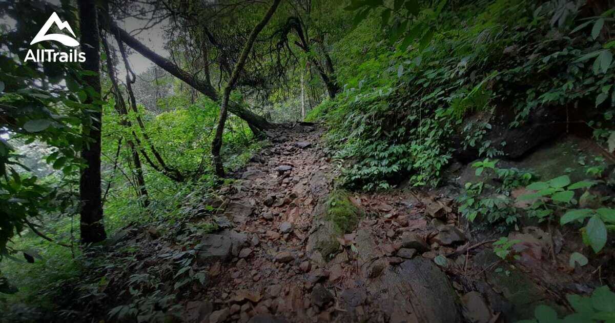 Best hikes and trails in Payannur | AllTrails