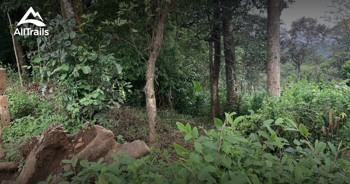 Best hikes and trails in Taliparamba | AllTrails