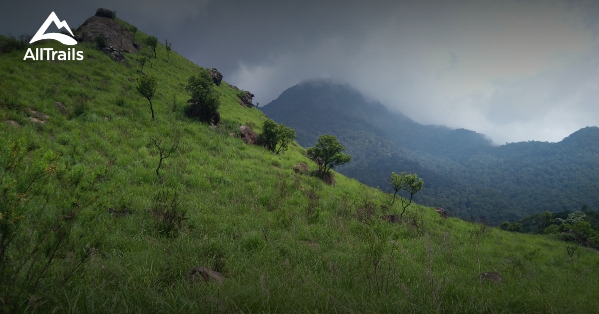 Best wildflower trails in Vythiri | AllTrails