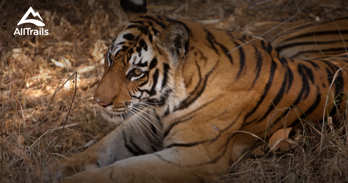 Best hikes and trails in Manpur | AllTrails