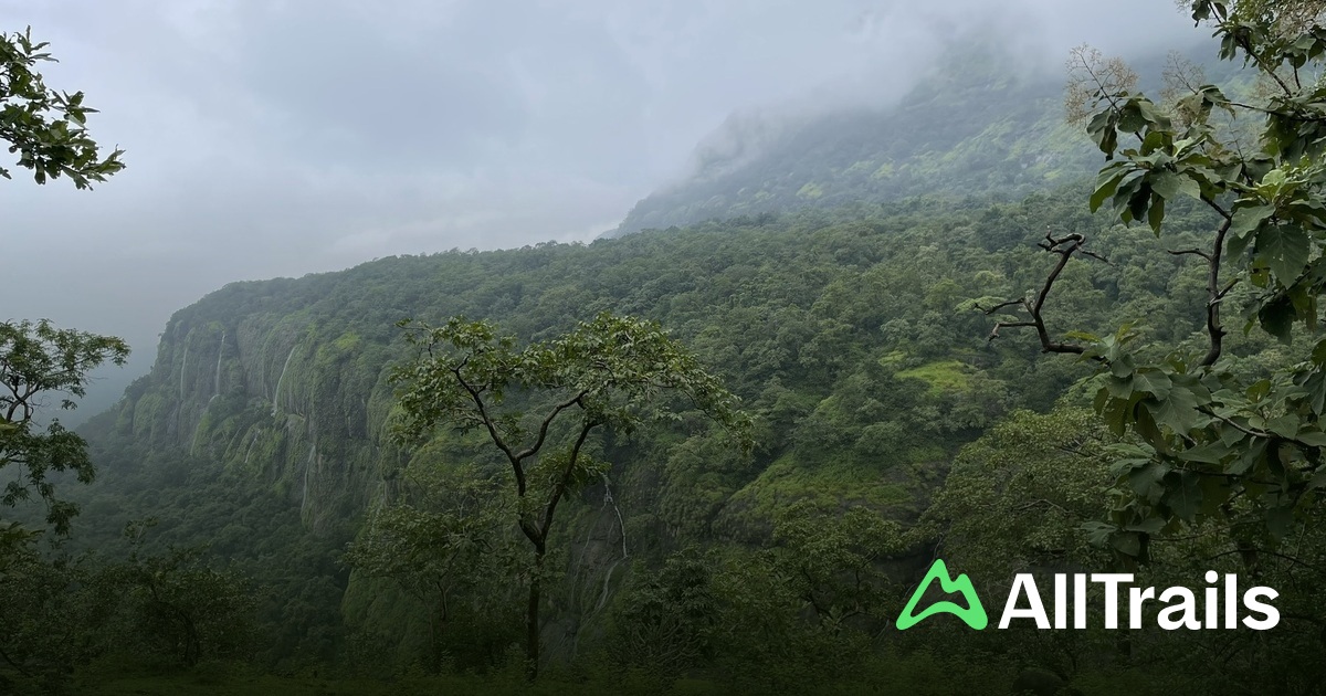 I sentieri più belli per bird watching in Bhimashankar | AllTrails