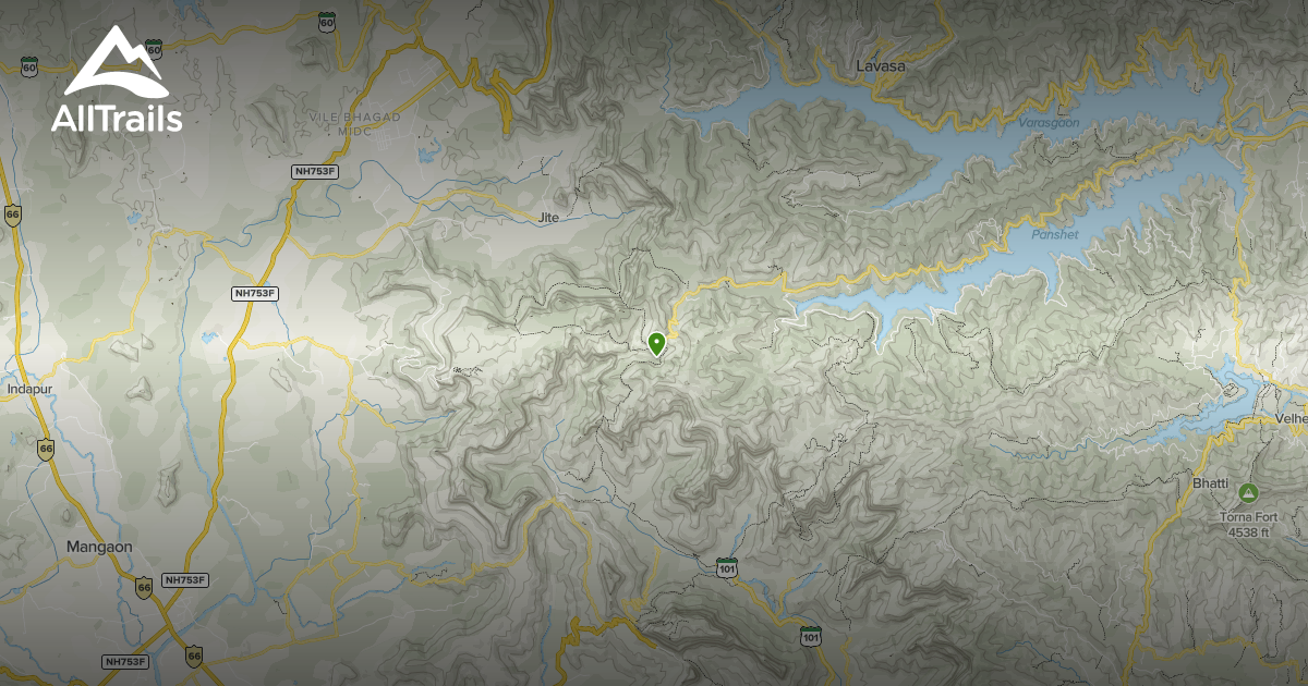 Best wildflower trails in Ghol | AllTrails