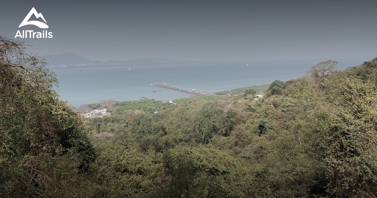 Best wildflower trails in Uran | AllTrails