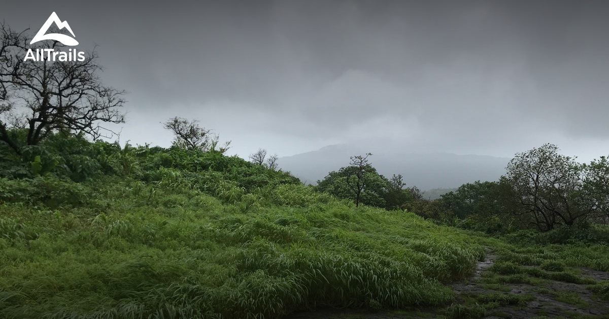 Best hikes and trails in Vikramgad | AllTrails