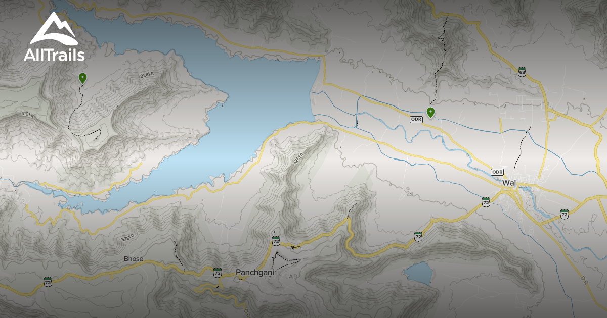 Best forest trails in Wai | AllTrails