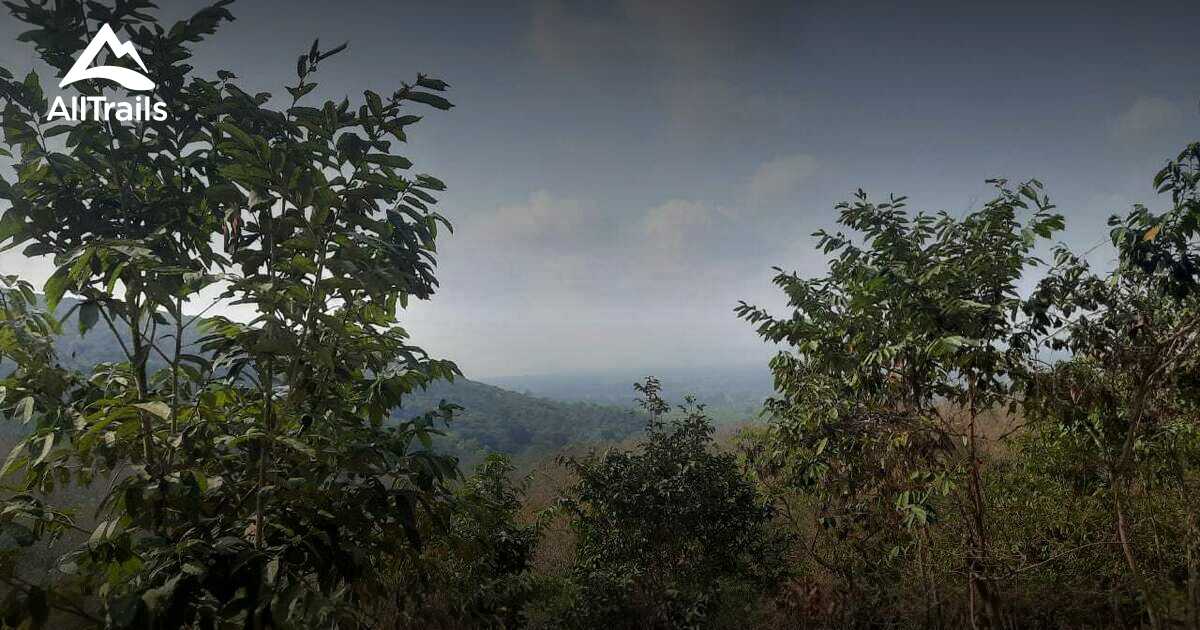 Best hikes and trails in Khalikote | AllTrails