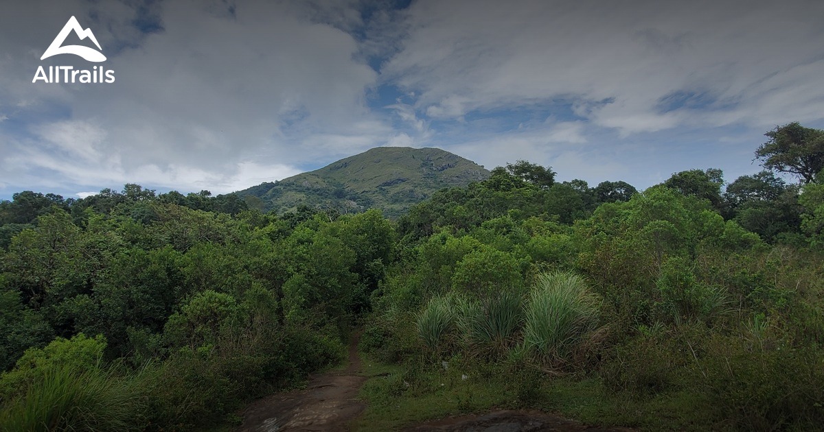 Best forest trails in Coimbatore | AllTrails