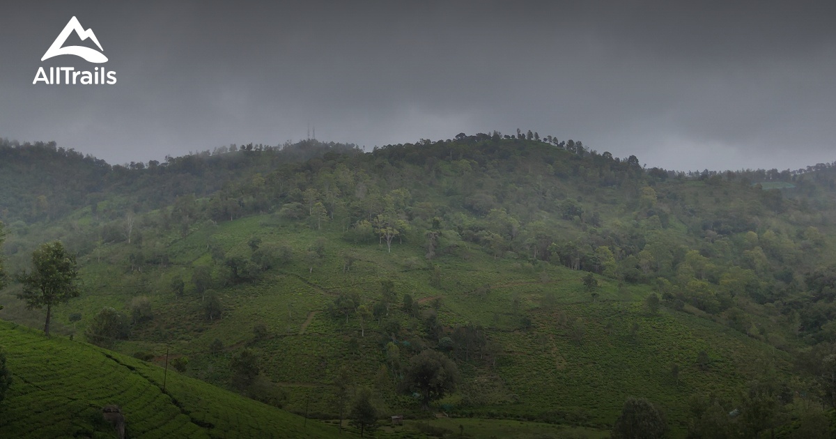 Best hikes and trails in Coonoor | AllTrails