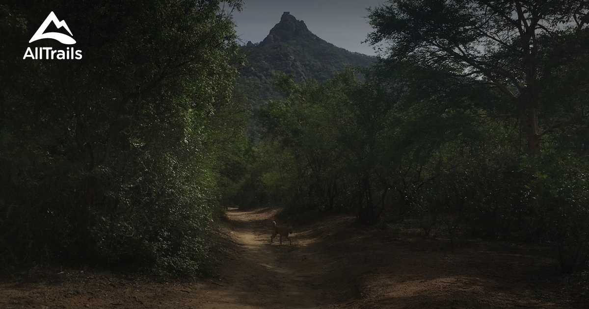 Best hikes and trails in Polur | AllTrails