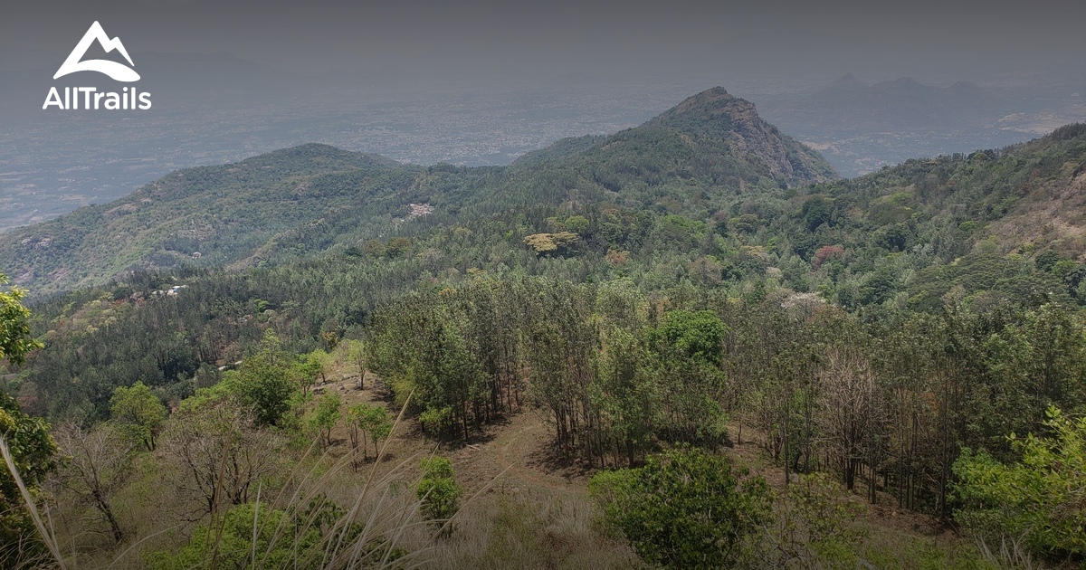 Best hikes and trails in Yercaud | AllTrails