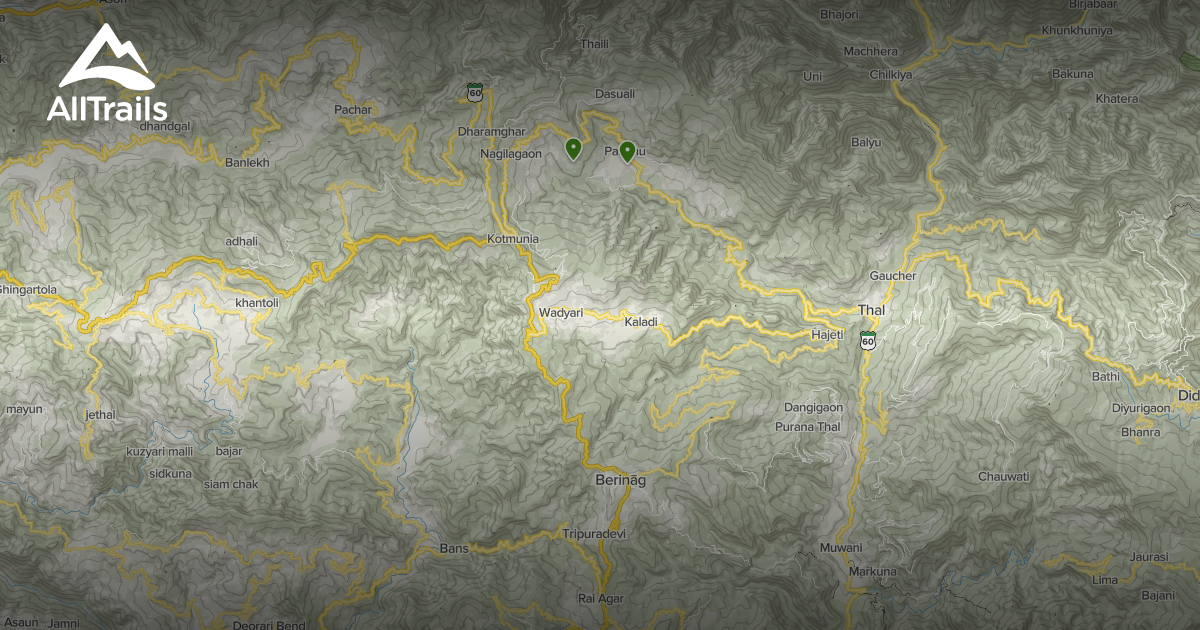 Best forest trails in Berinag | AllTrails