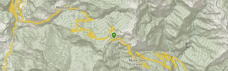 Best Hikes and Trails in Chopta | AllTrails