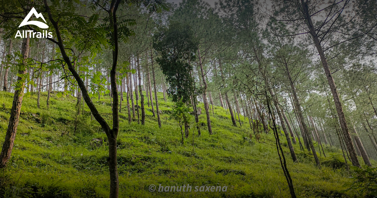Best hikes and trails in Haldwani | AllTrails