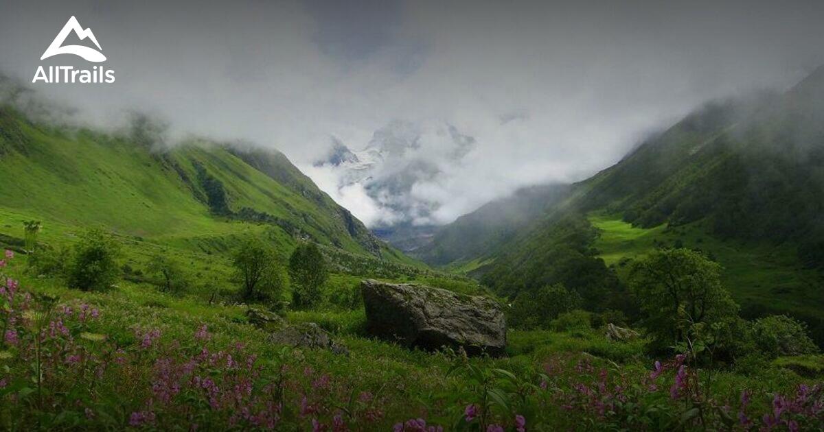 Best views trails in Joshimath | AllTrails